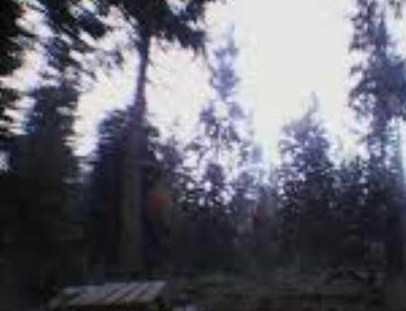 Don't Scream - Play Online Don't Scream on Love and Deepspace